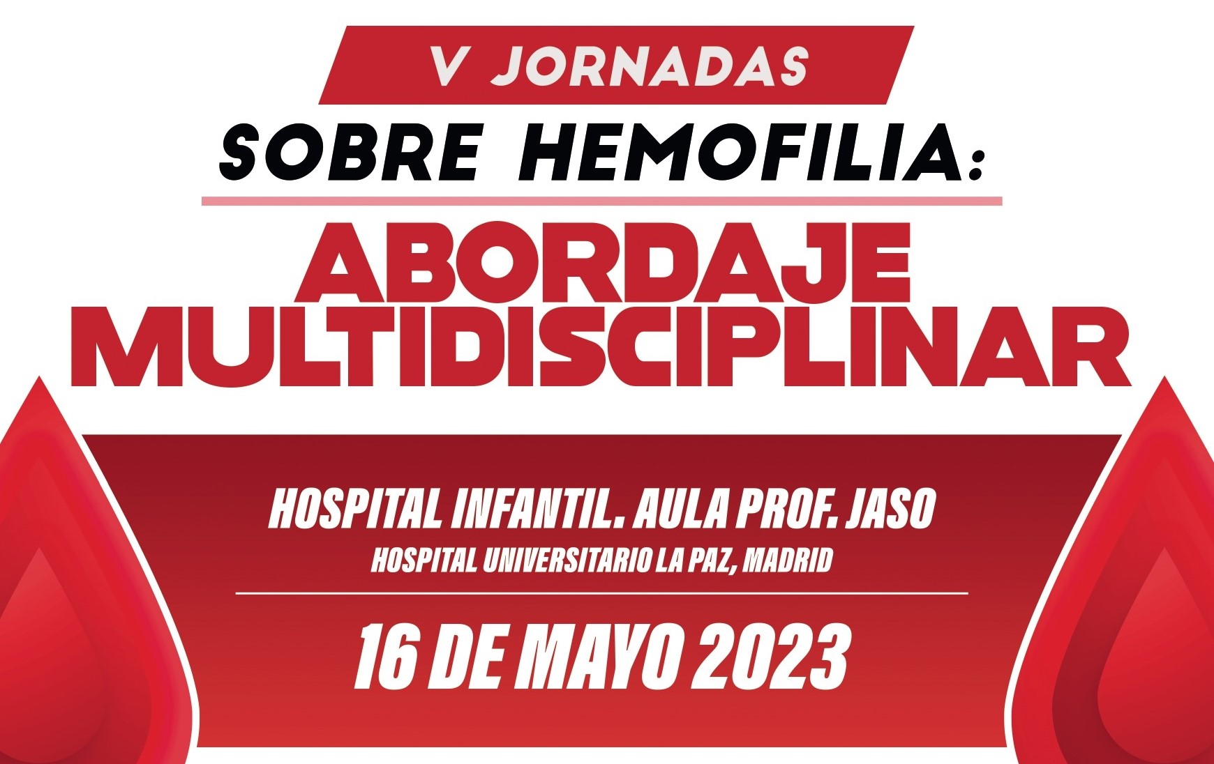 V Jornadas sobre Hemofilia - cfisiomad